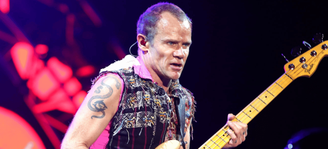 RHCP's Flea Looks Weird In His New Style, Surprised Fans With His ...